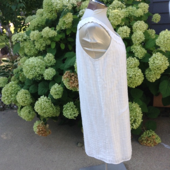 Max Studio | Dresses | Nwt Max Studio White Cotton Shift Dress M K ...